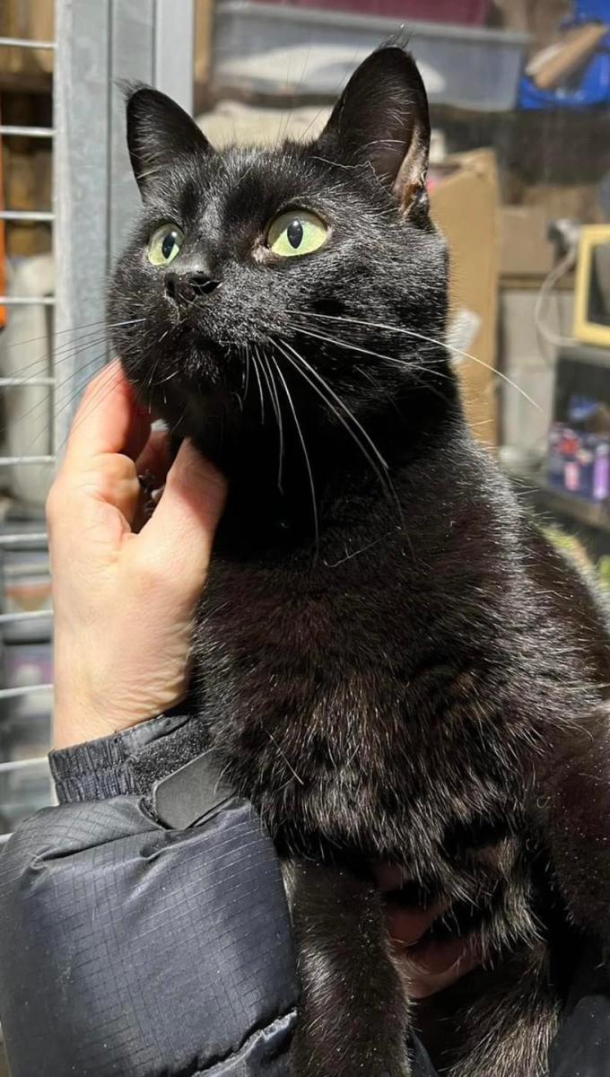 Rehomed -Terry – RSPCA Tameside and Glossop Branch